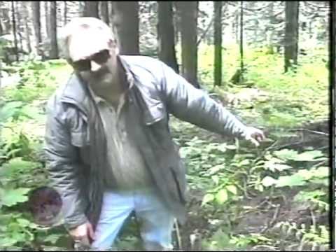 Jonathan Reed y el Brazalete Extraterrestre - YouTube