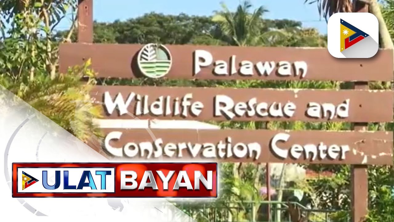 Mga pasyalan na hitik sa adventure at sulit sa panahon ng bakasyon sa ...