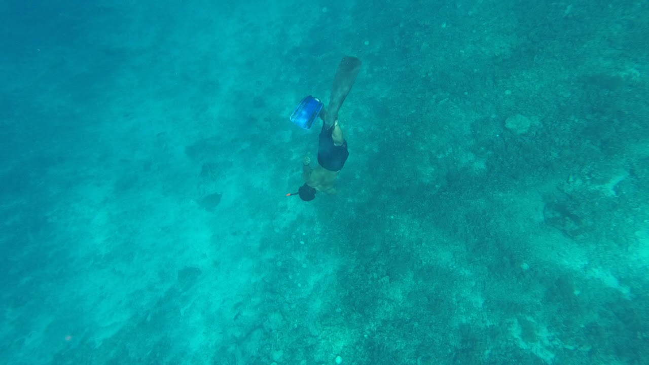 bali gili trawangan snorkeling turtle point(발리 길리 트라왕안 스노클링 거북이) - YouTube