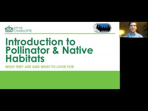 Introduction to Pollinator & Native Habitat Gardens - YouTube