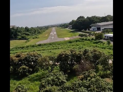 Emergencies Flying - Engine Failure during Take-off, Buffalo on the Run ...