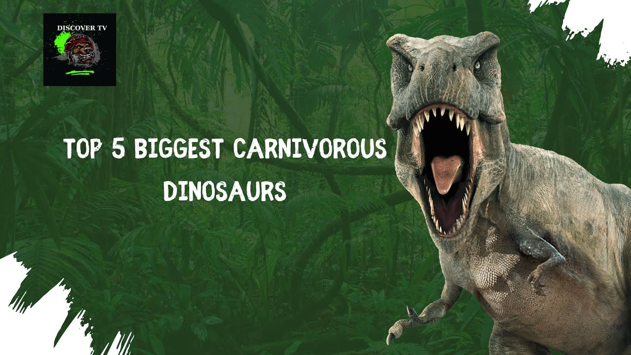 LARGEST Meat-Eating Dinosaurs That Ruled the Earth! - YouTube