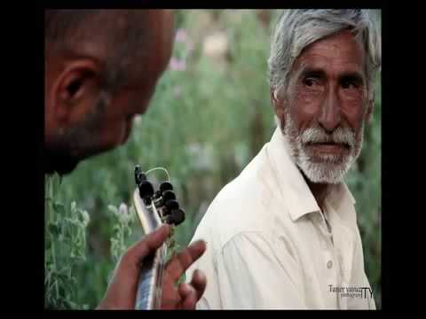 Yılmaz Çelik Dada Meso