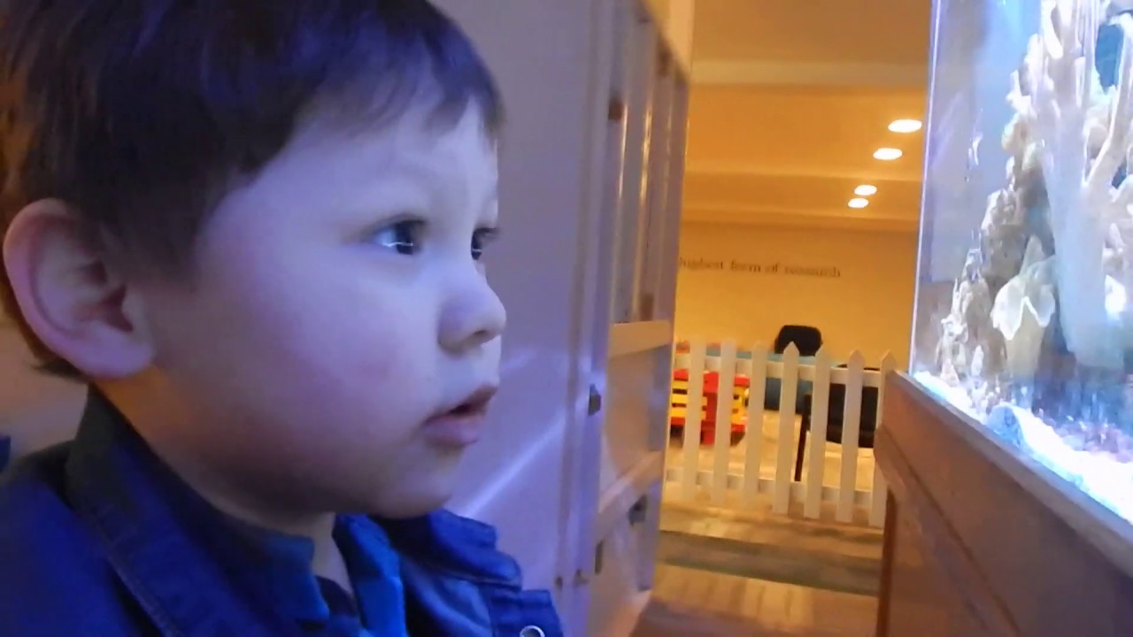 Baby's Day at the Science Center - YouTube