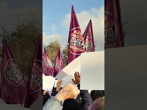 10 Ocak 2026 Sesli haber: Kadına şiddete istatistikler ne diyor?