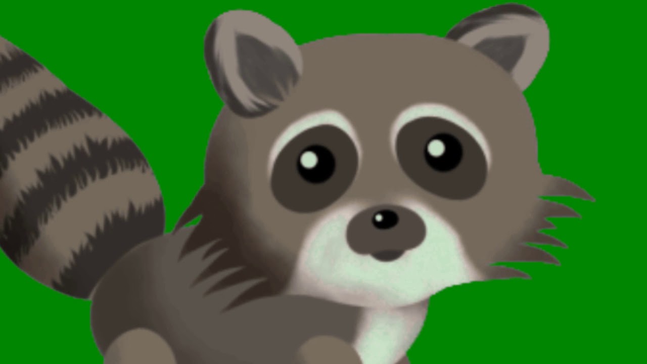 Cute Raccoon walking cartoon green screen affects footage | part 03 ...