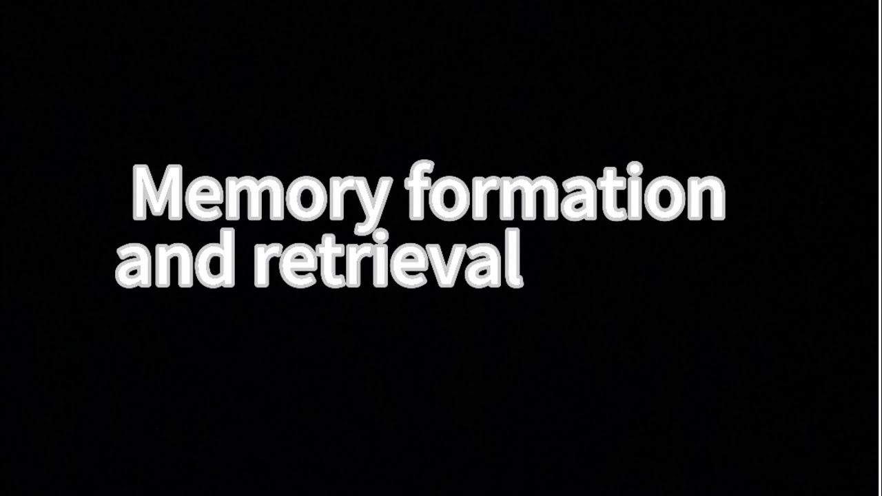 Memory formation and retrieval - YouTube