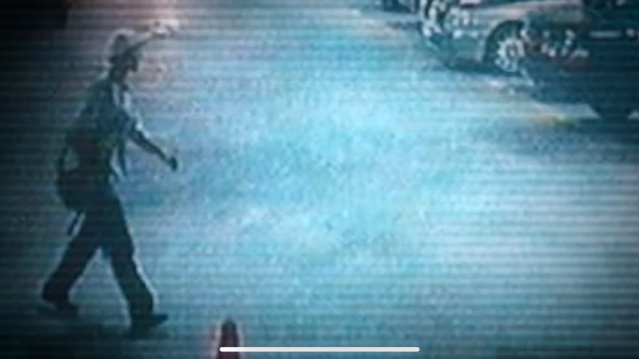 FAILED HER! Malaysia’s most chilling Murder… | The Case of Canny Ong ...