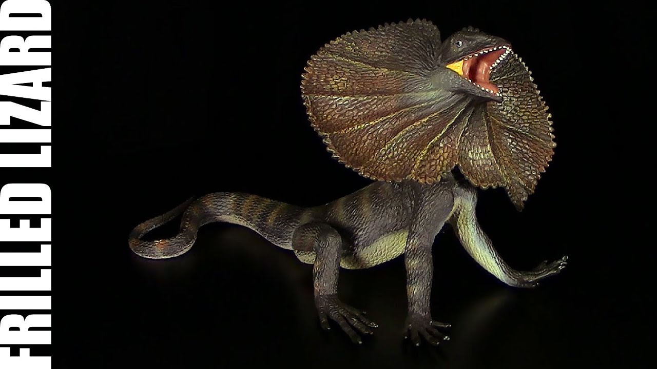 Safari Ltd. ® Frilled Lizard / Kragenechse - 360° - YouTube