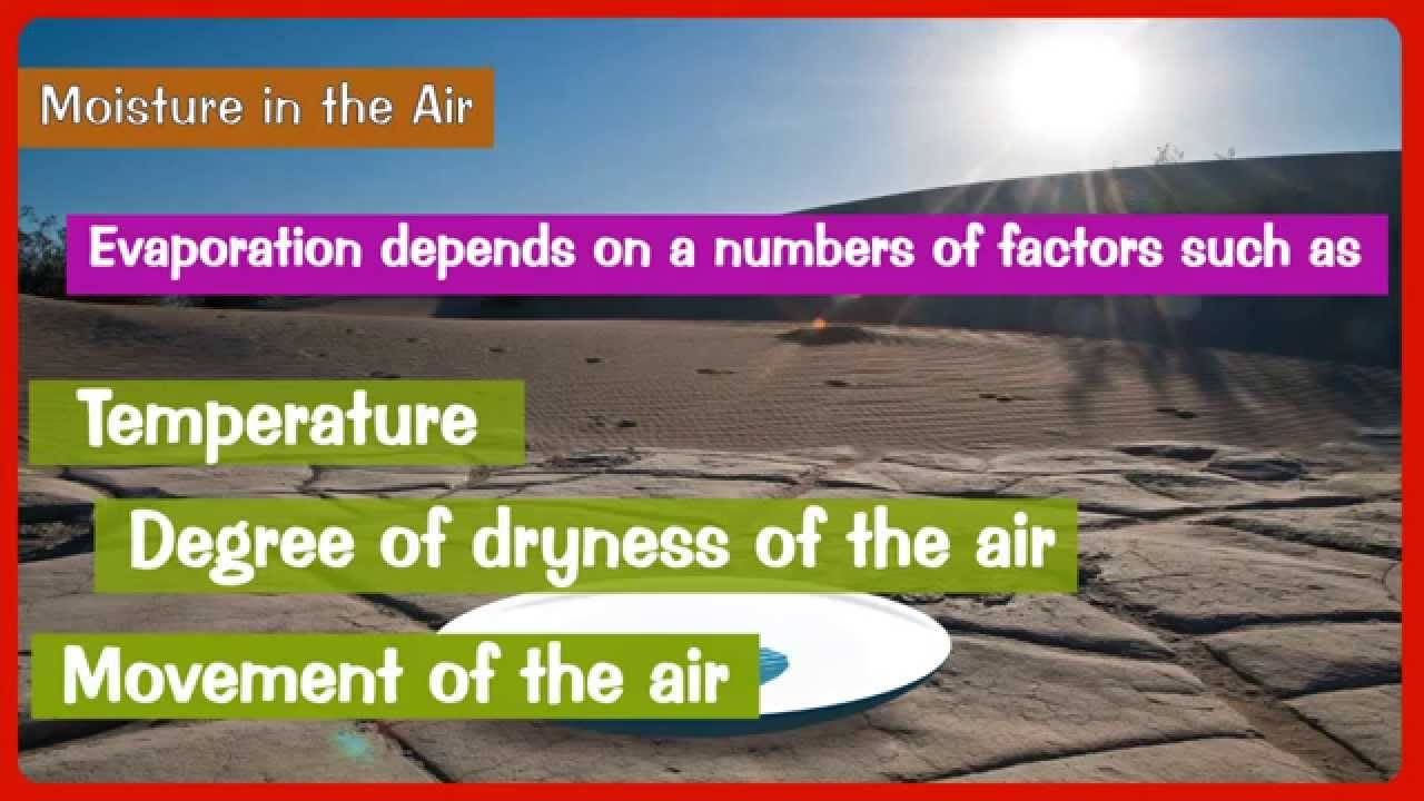 SST| Moisture In The Air| Class 7th - YouTube