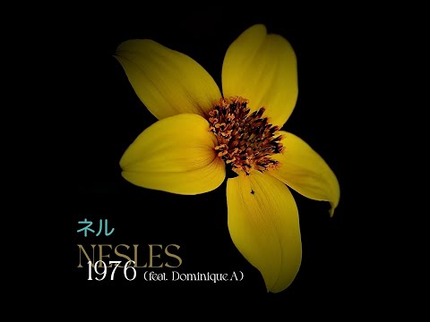 NESLES | 1976 (featuring Dominique A) | Clip officiel