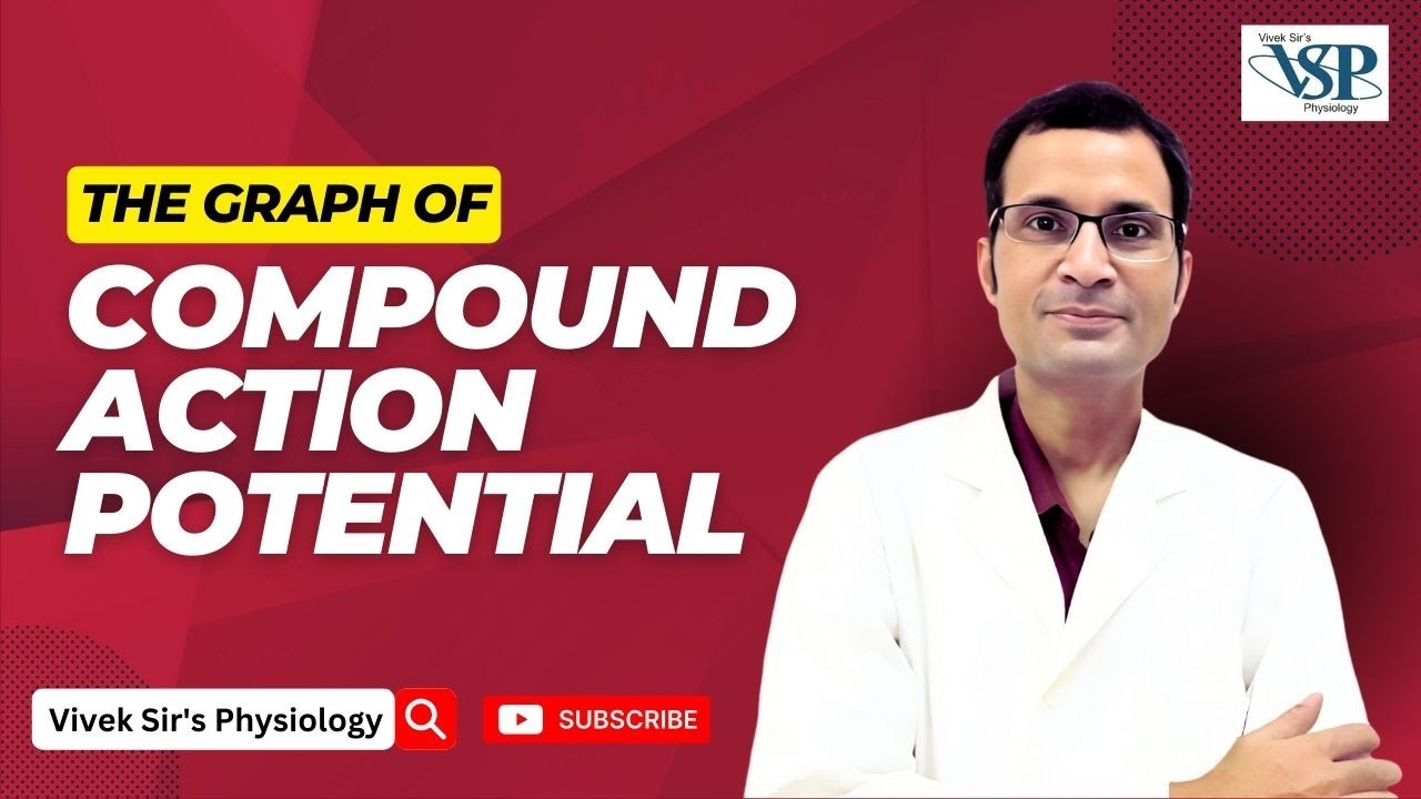 The Graph of Compound Action Potential | MBBS | NEET-PG | USMLE | Dr ...