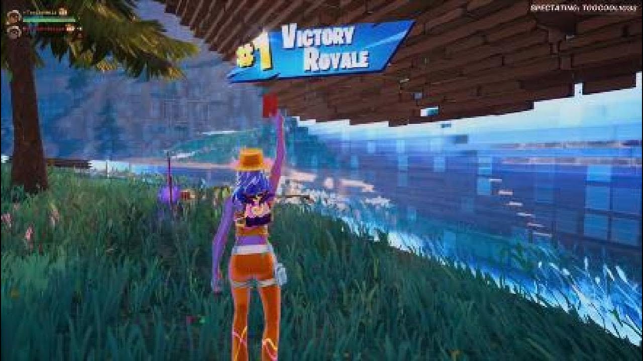 Fortnite *NEW* DESERT DAWN LYRIC AURORA VISUALIZER SKIN gameplay ...