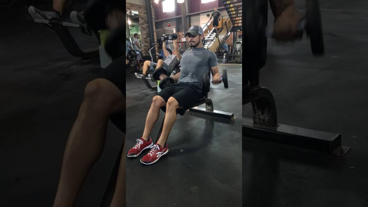 Decline dumbbell curls XFPT - YouTube