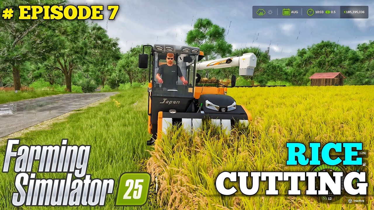 FARMING SIMULATOR 25 / RICE CUTTING IN FIELD 1 WITH RICE HARVESTER ...