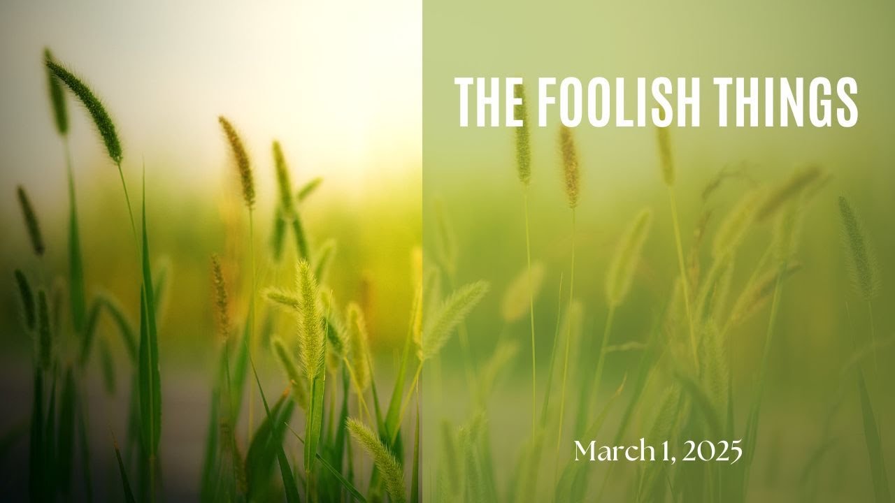 "The Foolish Things" - YouTube