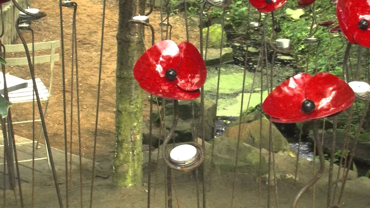 RED POPPY DISPLAY_CAITLIN LYTH_PORTFOLIO ONE TV - YouTube