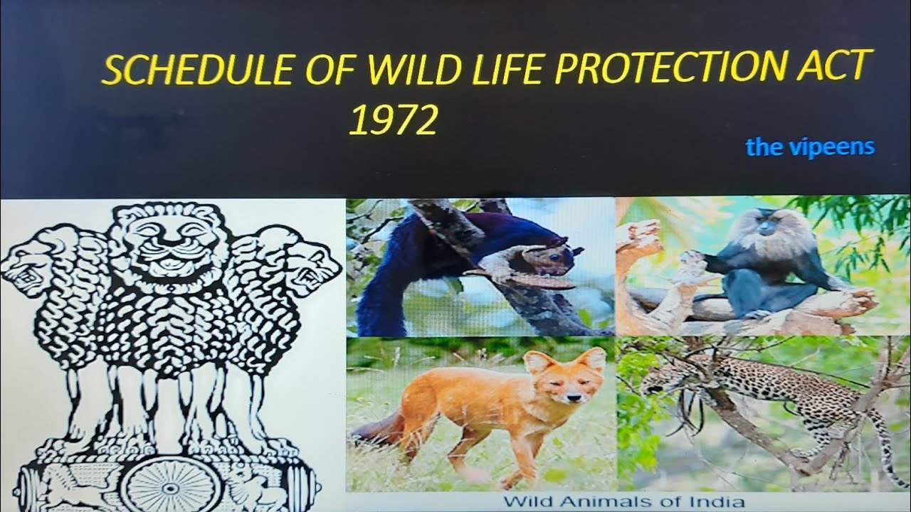 WILDLIFE PROTECTION ACT 1972 PART-2 Schedules of WPA - YouTube