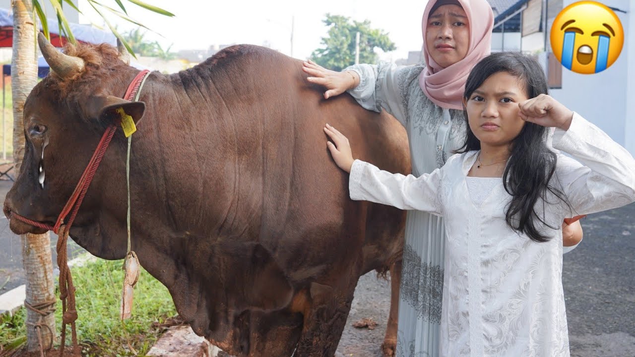 SELAMAT TINGGAL SAPI QURBAN KU 😭 SAMPAI NANGIS - YouTube