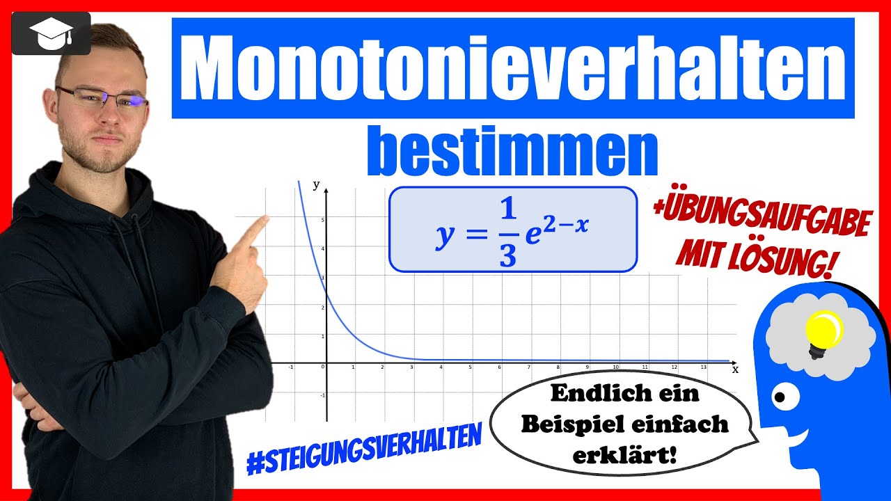 e Funktion Monotonie bestimmen - Monotonieverhalten Beispiel - YouTube