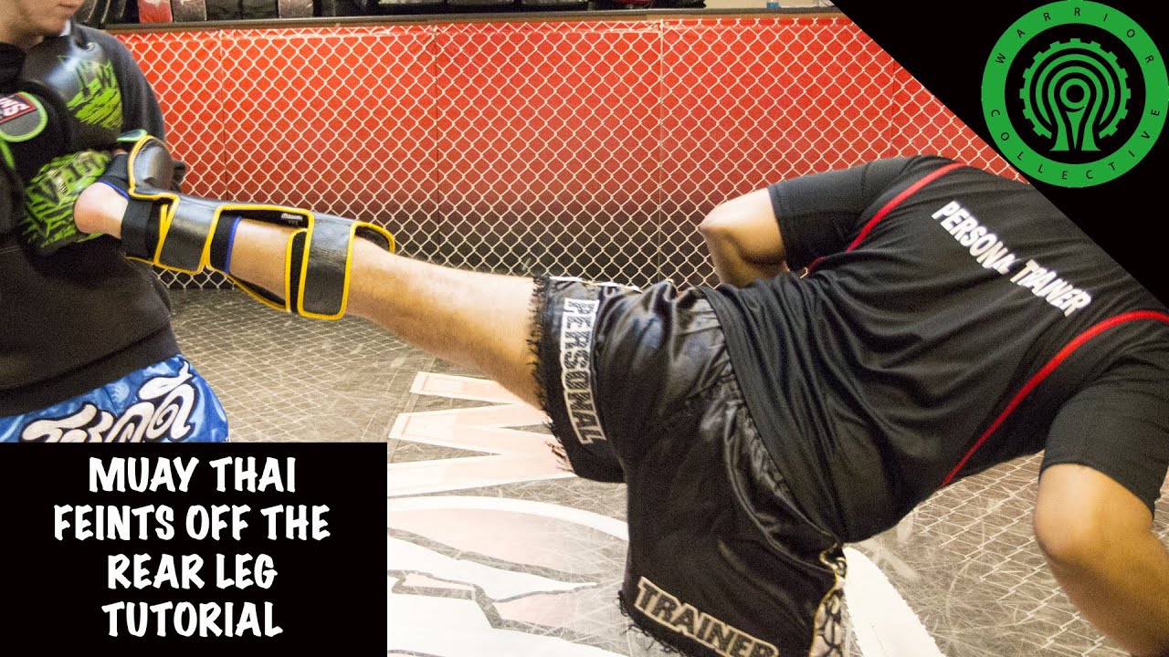 Muay Thai Feints off the Rear leg Tutorial - YouTube