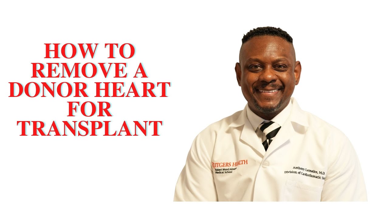 How To Remove a Donor Heart for Transplant - YouTube