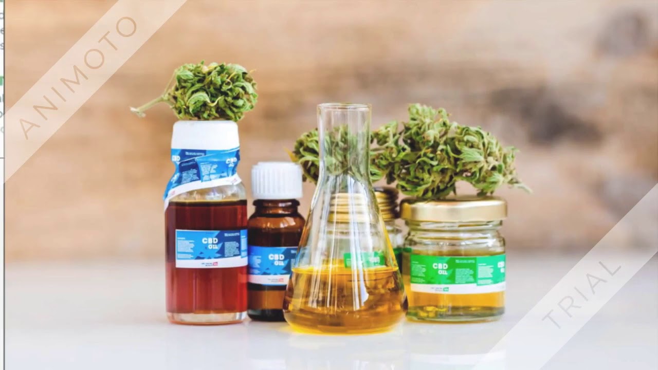 Sera Chews CBD Yummy Gummys Reviews (US): Benefits, Cost, Side Effects ...