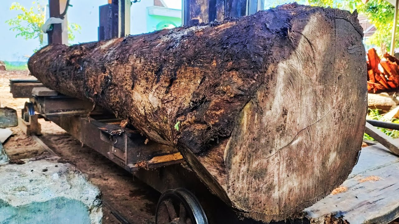 Sawing 2.5 meter long black teak wood - YouTube
