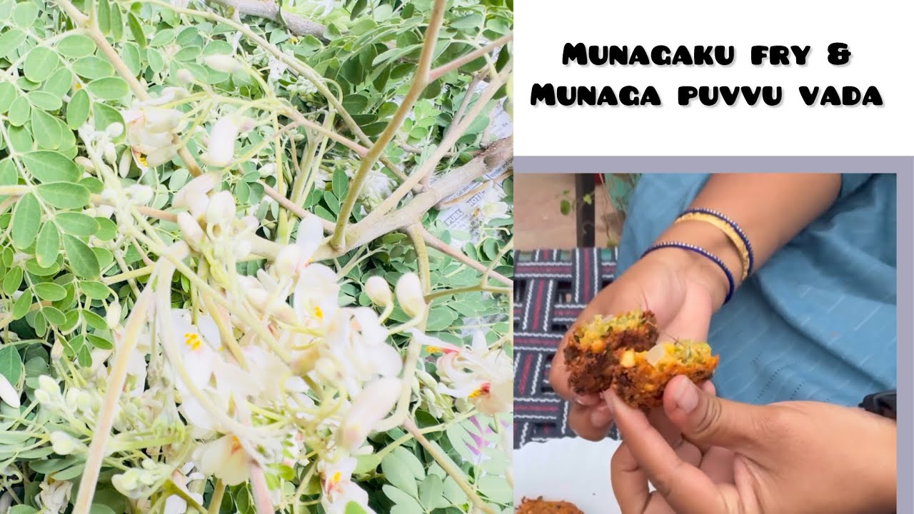 Munaga puvvu vada & Munagaku fry #terracegardening #terracegarden # ...