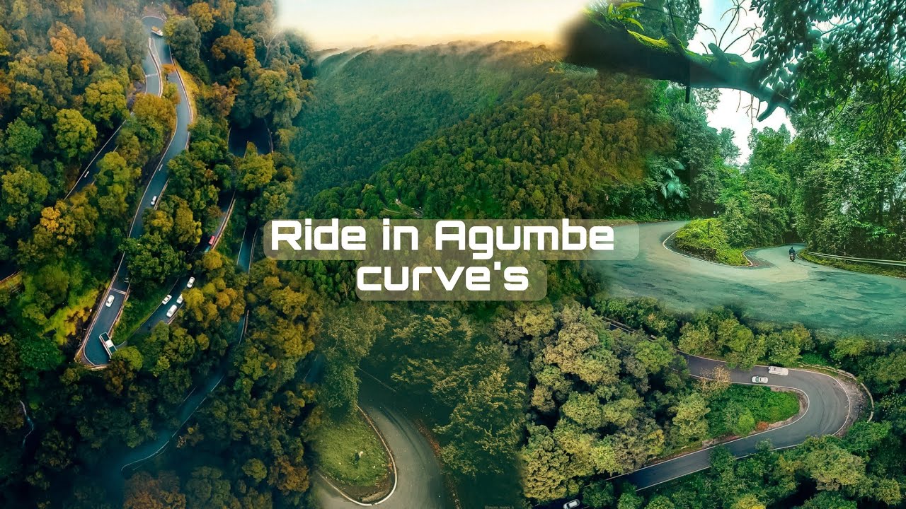 Agumbe rain forest ride ( Western ghats trip) Part 9 - YouTube