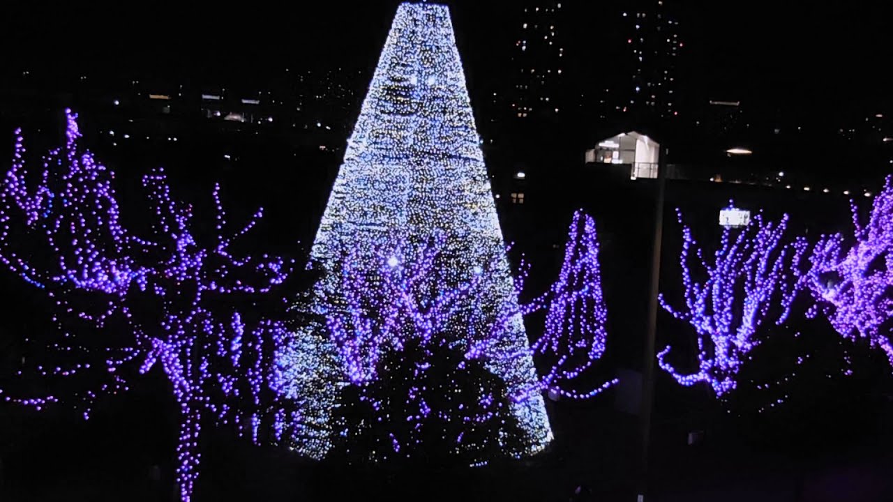 A light show on trees on "Tokyo Decks" in Odaiba, Tokyo - YouTube