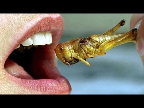 25 Disturbing Food Facts That Will Keep You Up At Night - YouTube