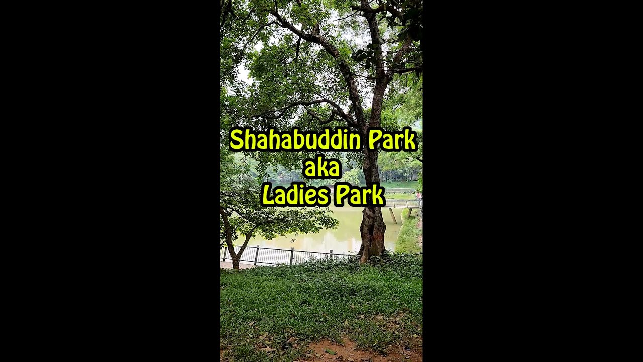 Nature's therapy:a gentle stroll through this Shahabuddin Park aka ...