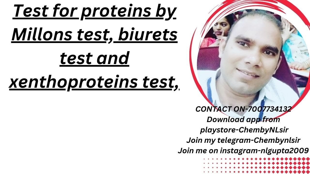 Test for proteins by Millons test, biurets test and xenthoproteins test ...