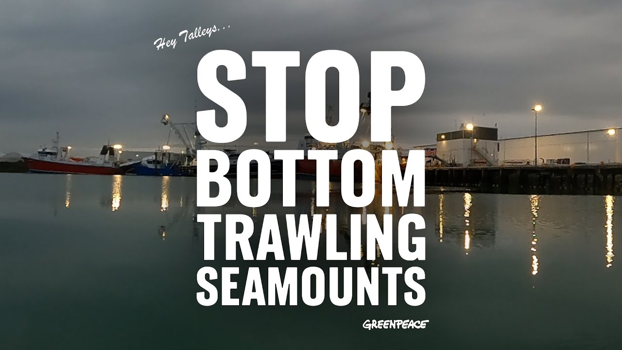 Taking action to stop bottom trawling - YouTube