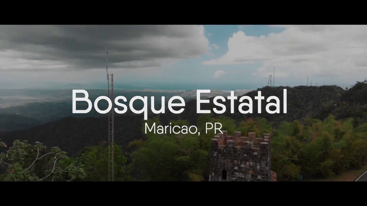 Bosque Estatal de Maricao, Puerto Rico (Monte del Estado) - YouTube