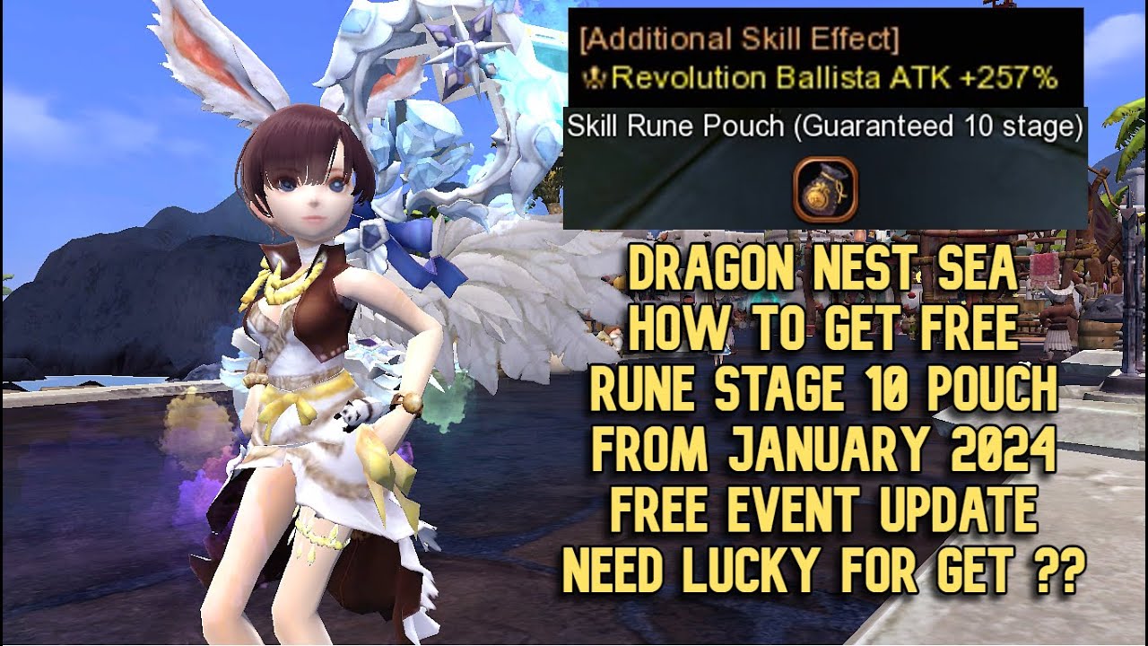 How To Get Free Skill Rune Stage 10 Pouch in DN SEA January 2024 Update ...