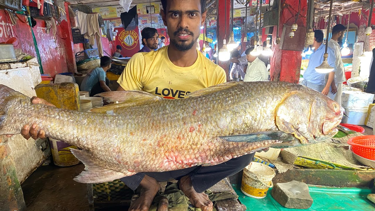 Expensive Indian Salmon (Lakkha) Fish Cutting Live In Fish Market ...