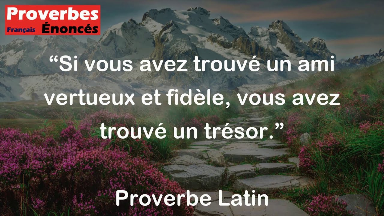 Proverbe Latin - Si vous avez trouvé un ami vertueux et fidèle, vous ...