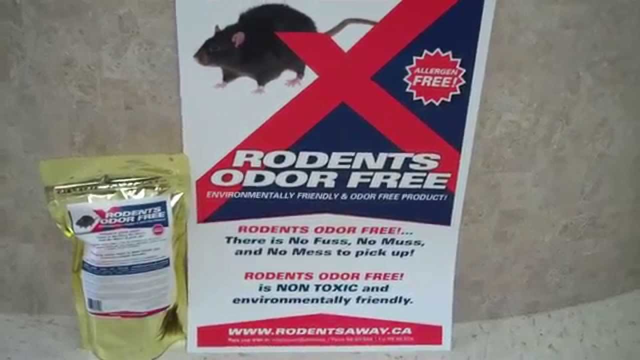 Rodent Odur Free keeps your RV rodent free!! - YouTube