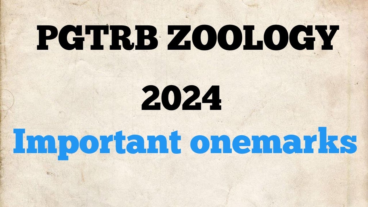 July 30, 2024 - YouTube
