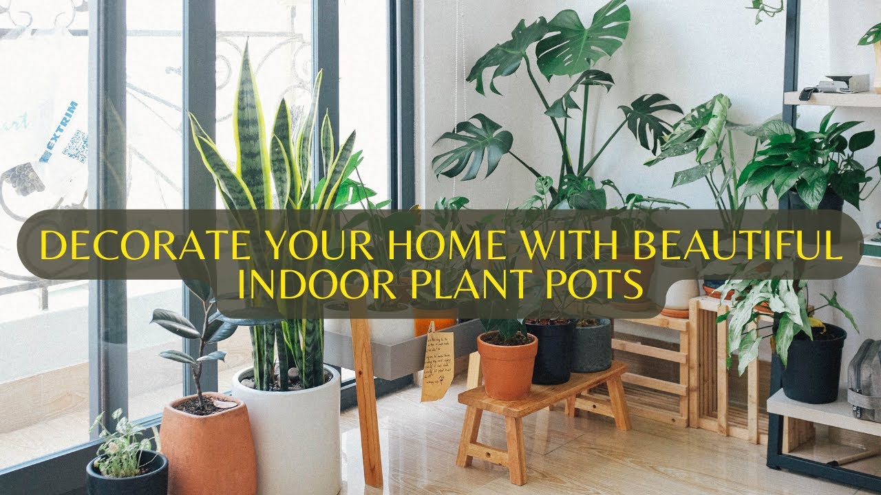 Decorate Your Home With Indoor Plant Pots| DIY Indoor Plant Pots ...