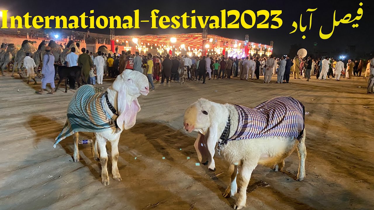 🥇position| Big kajla winner show2023| Faislabad😍|Biggest show in ...