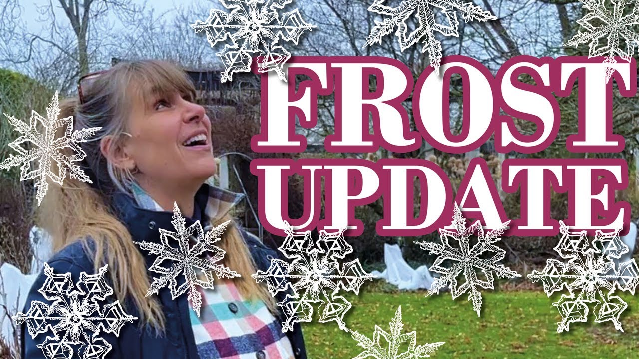 FROST-UPDATE - plötzliche wieder Winter ??? - YouTube