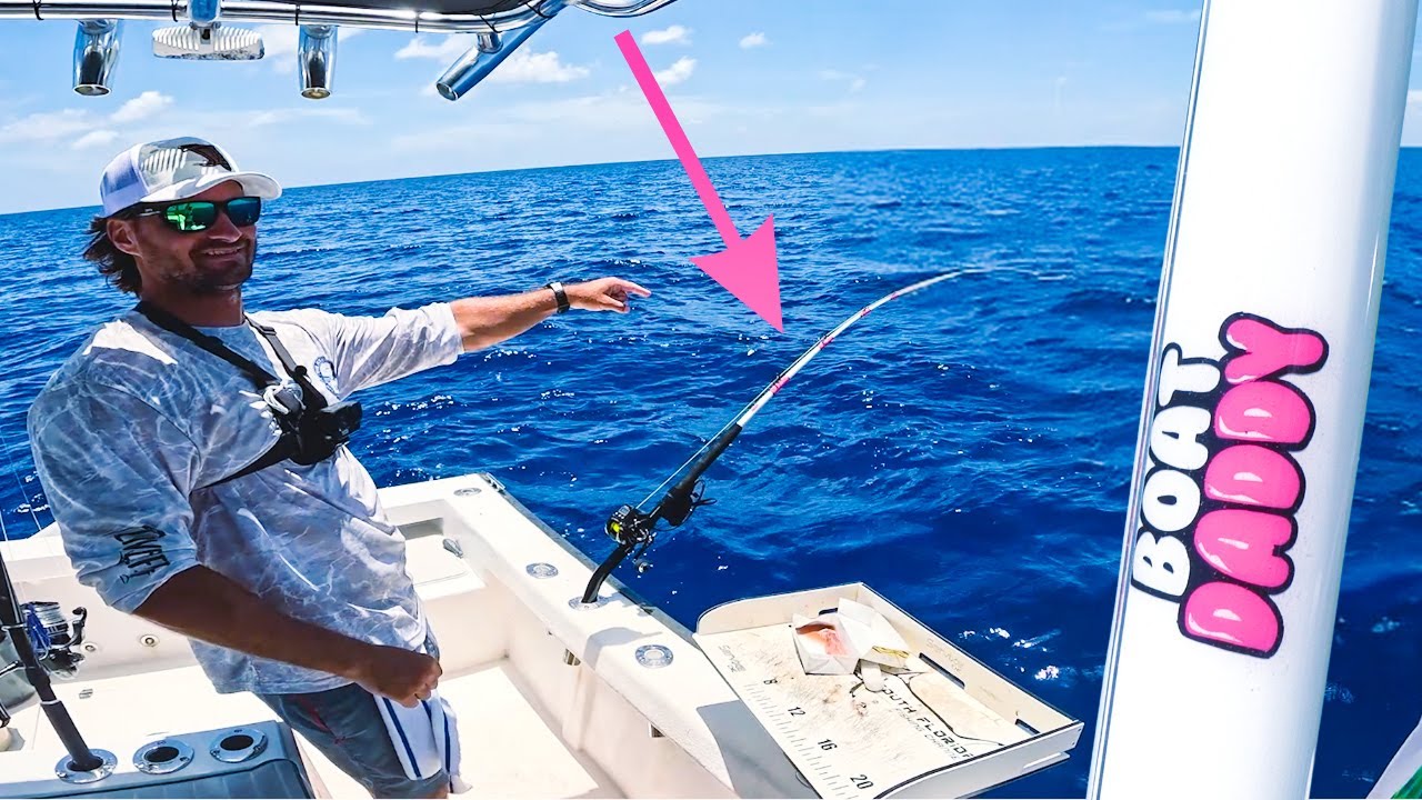 new Boat Daddy rod catches fish {Catch N Cook} - YouTube