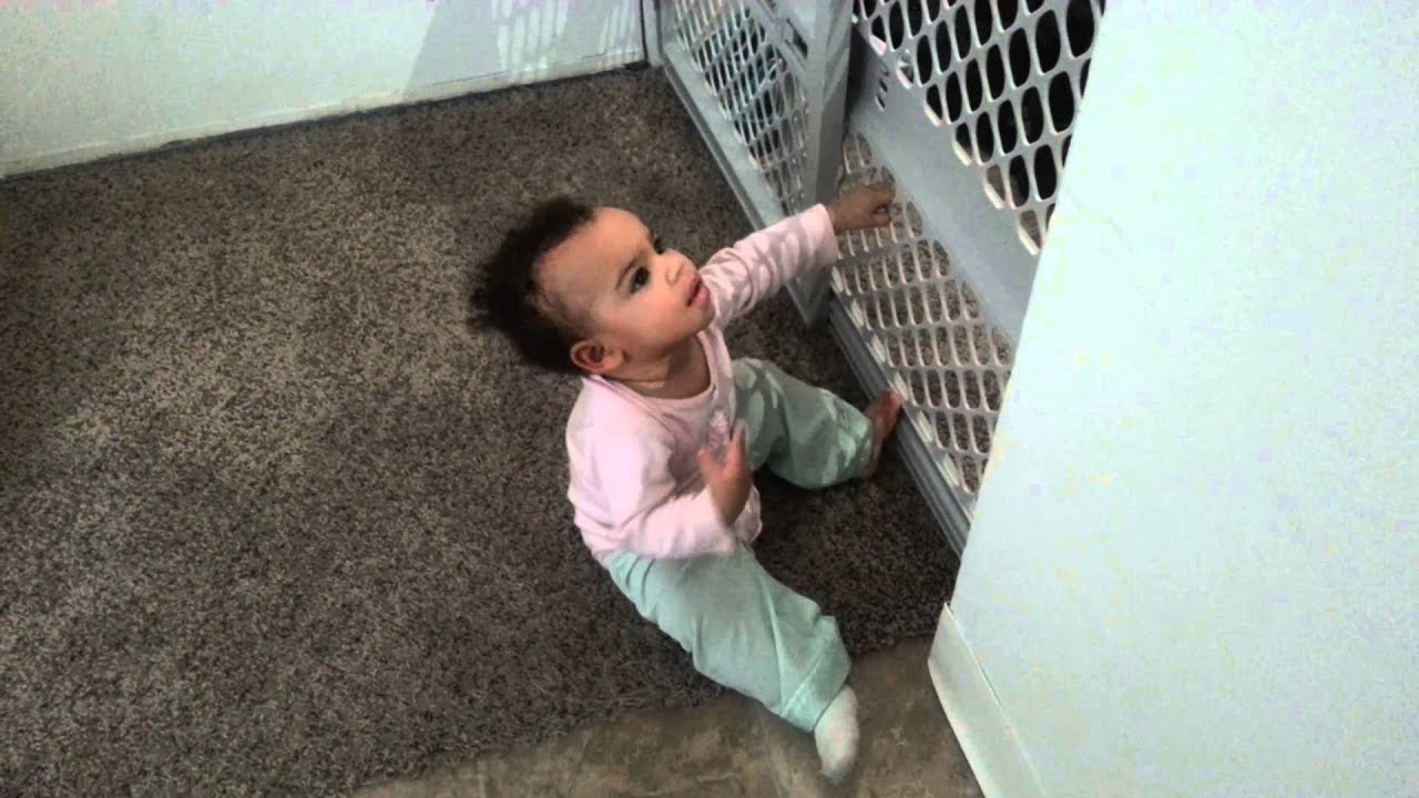 11 month old baby climbing over the gate - YouTube