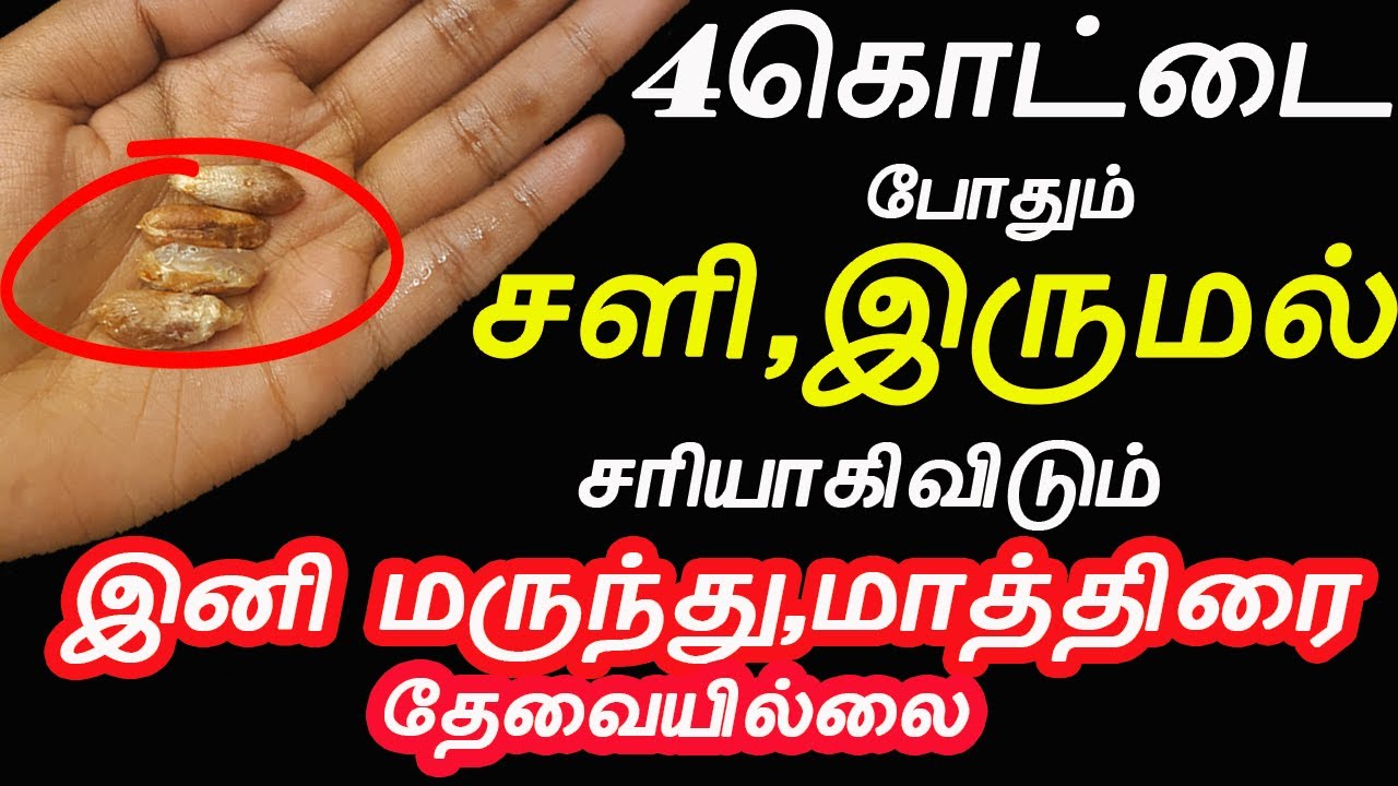 4கொட்டை போதும் சளி இருமல் சரியாக | cold home remedies in tamil | sali ...