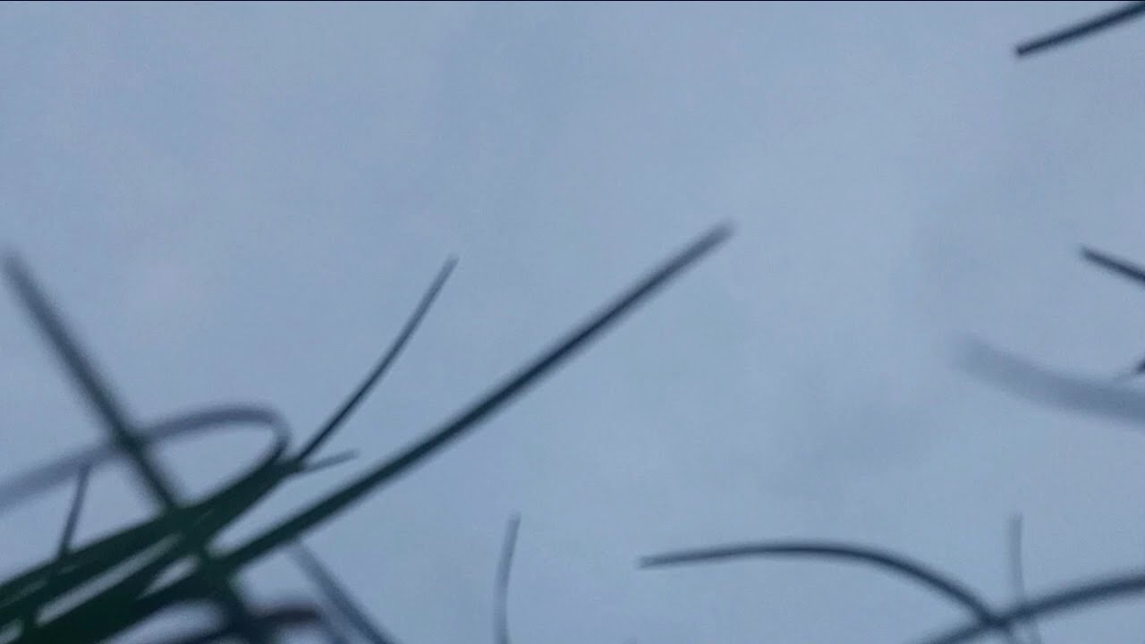 viral di tiktok !! lagu tebe tebe 2025 ¤ lagu tetun foun 2025 - YouTube