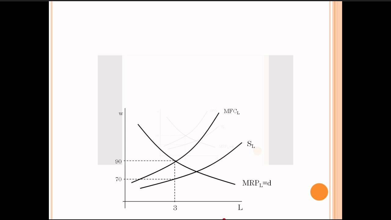 Monopson graficky - YouTube