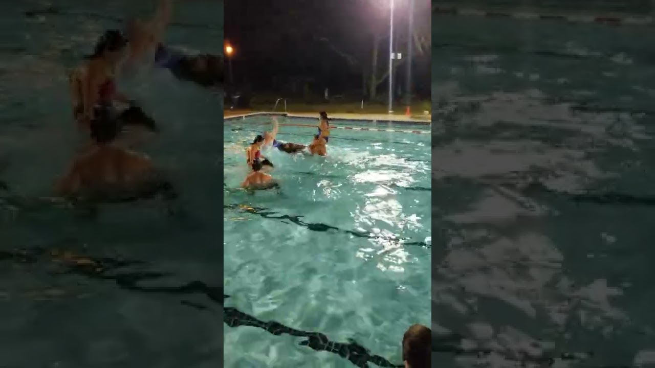 Chicken Fights - YouTube